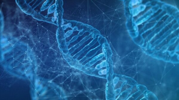 From Algorithm to Biology: Australia's Choice at the AI Frontier ...